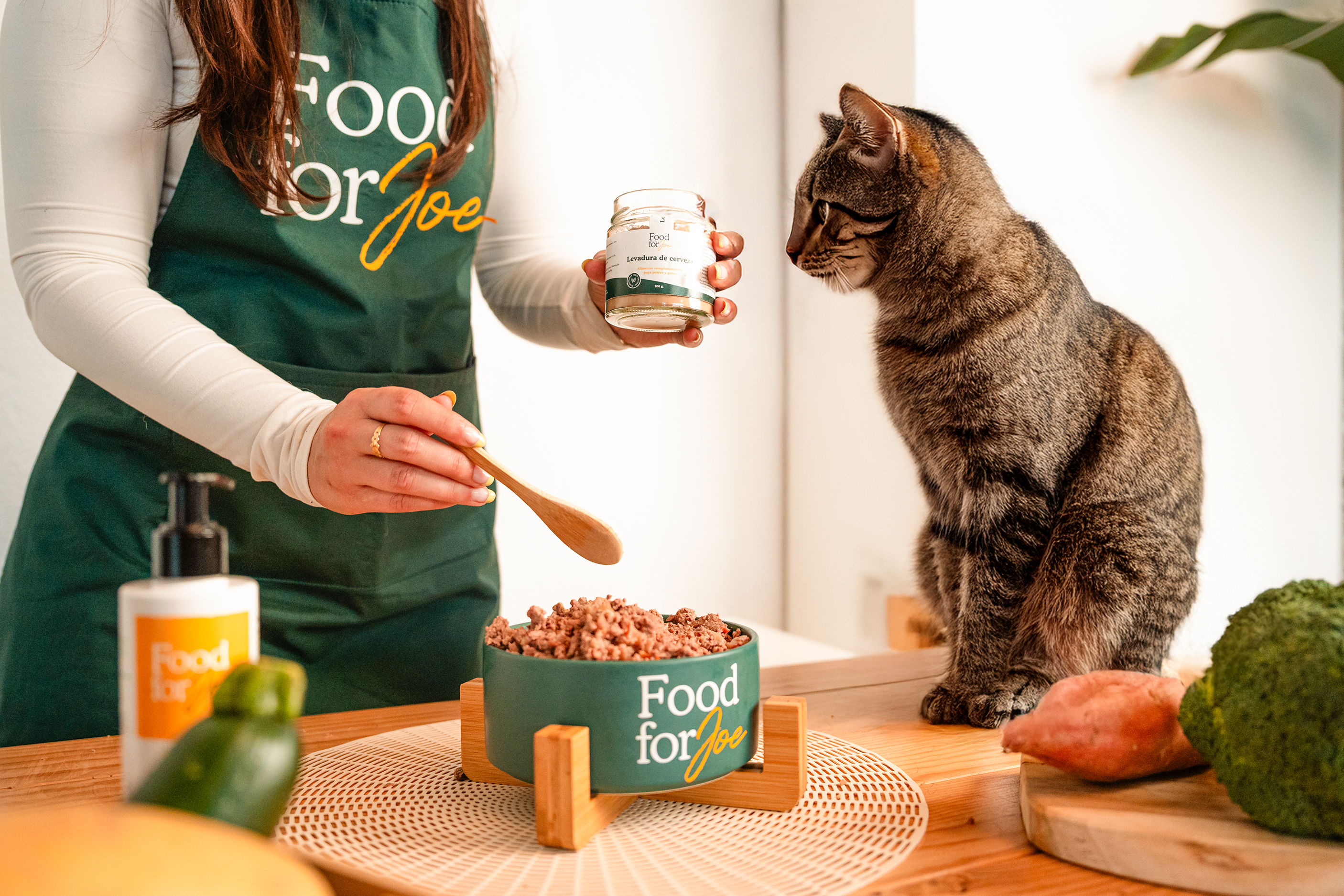 Cómo Reforzar el Sistema Inmunitario de mi Gato – Food for Joe