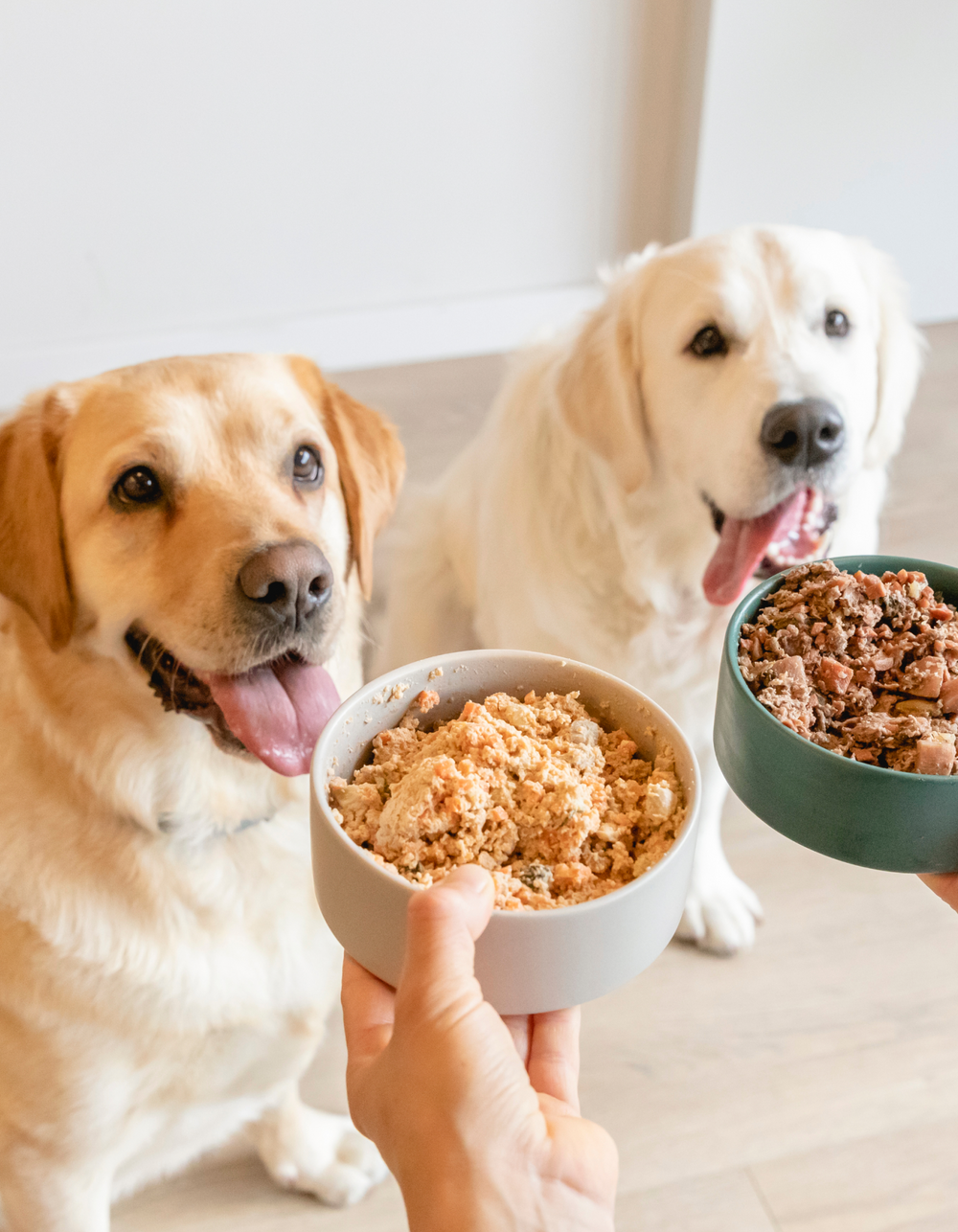 Food For Joe, mucho más que comida natural para perros y gatos – Food ...