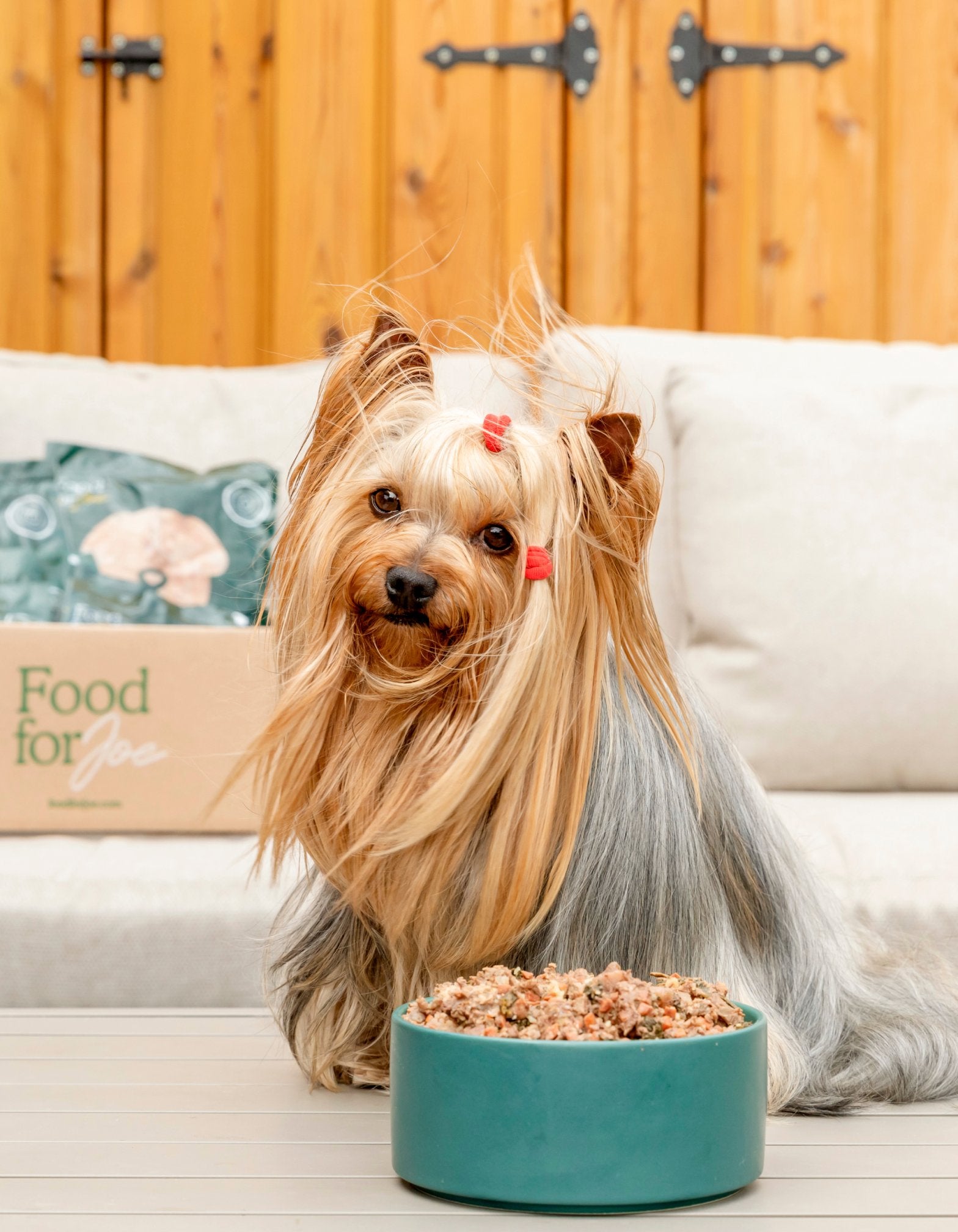 Comida natural perros raza pequeña | Foodforjoe – Food for Joe